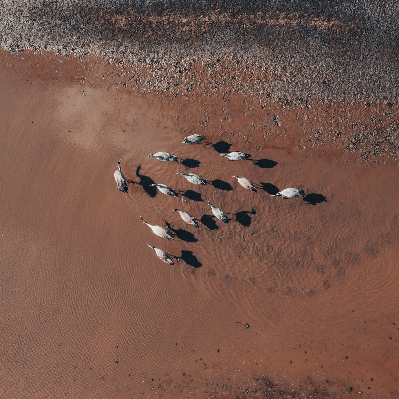 Seraphus: Reflecting on 2023 and Embracing 2024 | Seraphus Blog