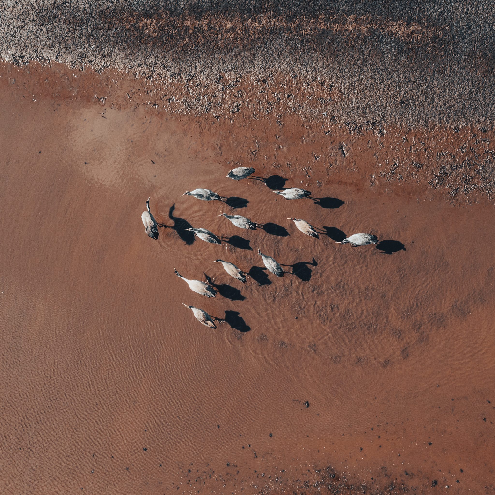 Seraphus: Reflecting on 2023 and Embracing 2024 | Seraphus Blog