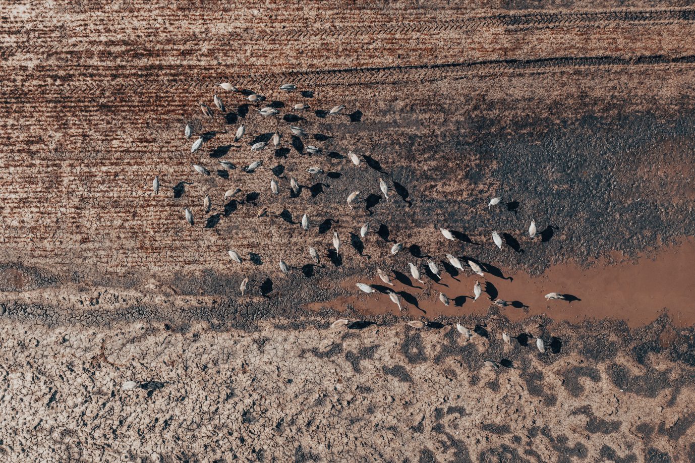 Migrants and the challenge to the State - Seraphus