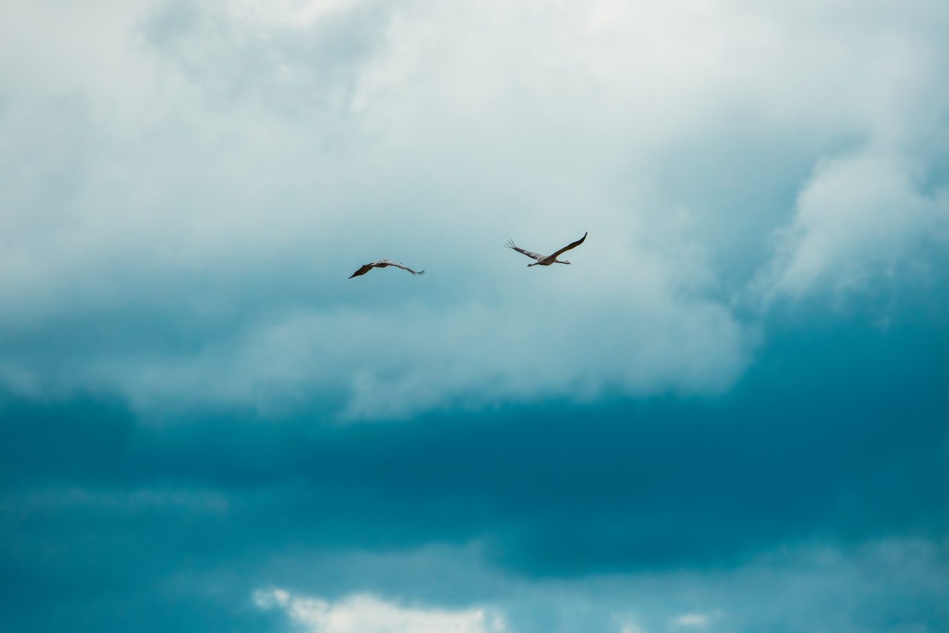 Wrapping up 2024: Highlights, reflections and changes - Seraphus